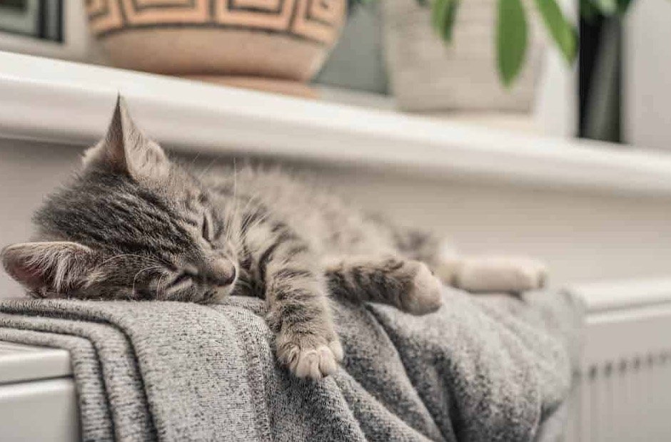 Troubleshooting Common Central Heating Problems - StellaNonna