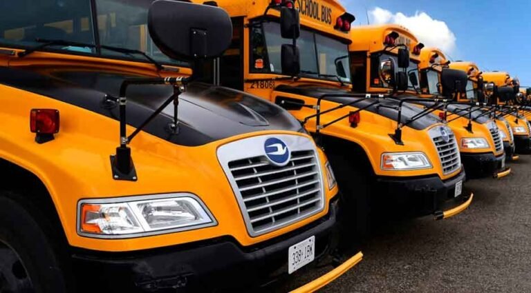 Could Your School Bus Business Survive a Major Claim? - StellaNonna